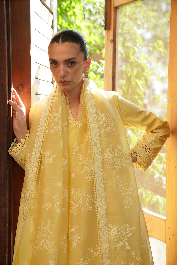 Designer Bazar– Designer Bazar PK